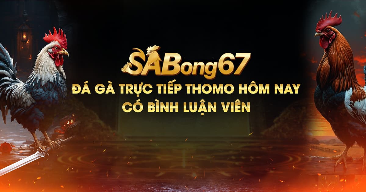 Cập Nhật Những Tin Tức Mới Nhất Tại Trường Gà Thomo